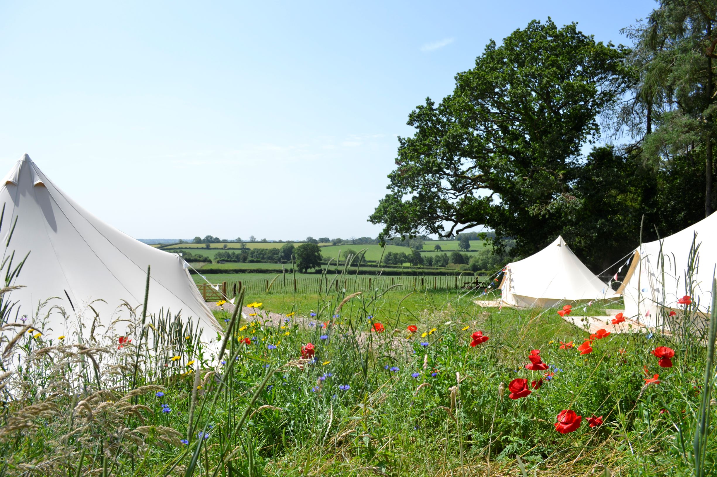 Hen Camp at Field Head Farm - Exclusive Use Glamping, Staffordshire.