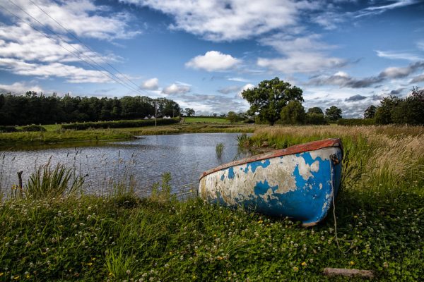 Hen Camp at Field Head Farm