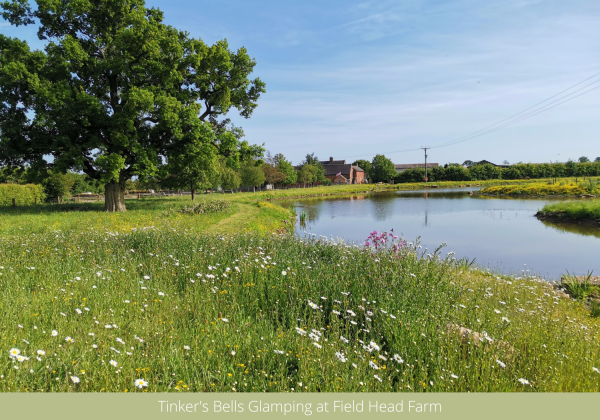 Hen Camp at Field Head Farm - Hen Party Glamping, Staffordshire.
