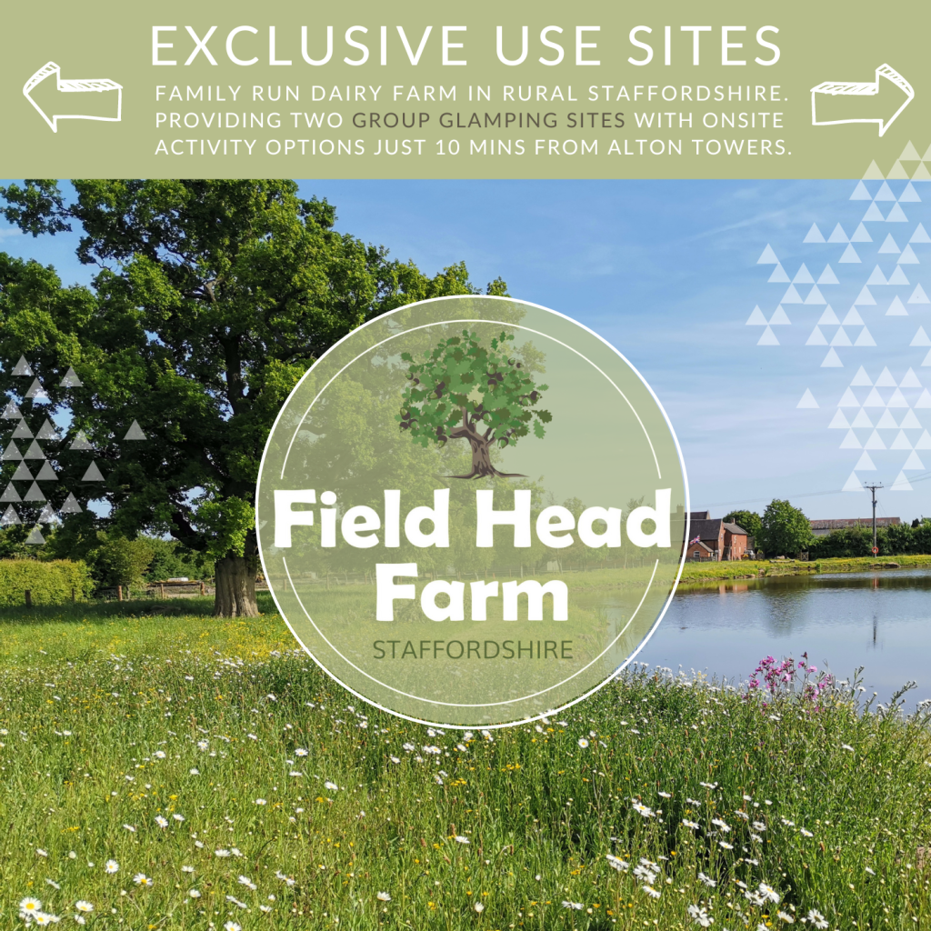 Hen Camp at Field Head Farm