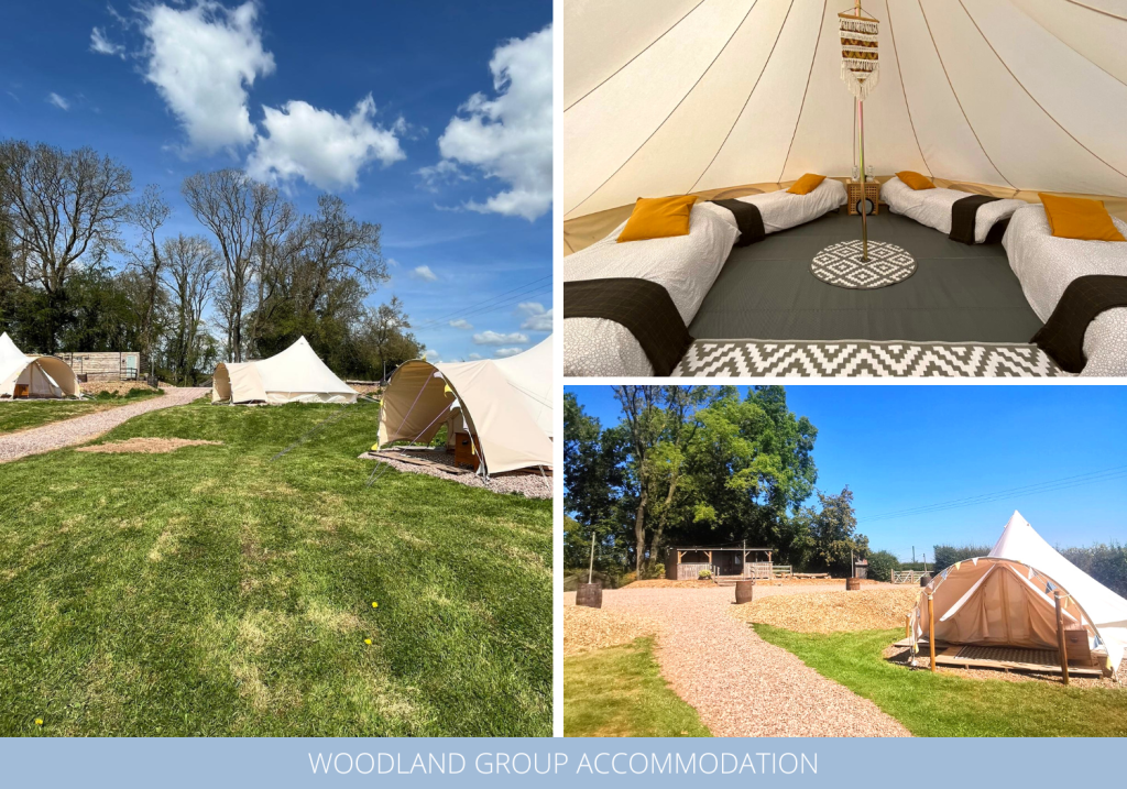 Hen Camp at Field Head Farm